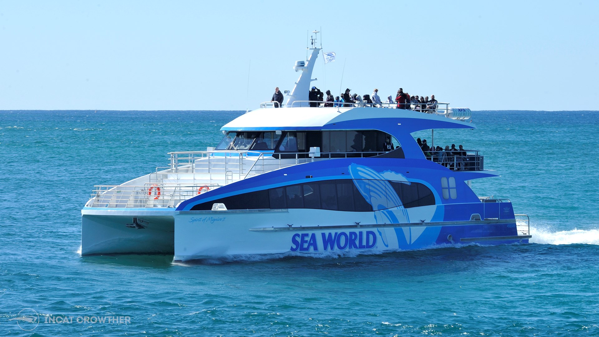 Australia's Most Advanced Most Advanced Whale Watching Vessel Operating ...